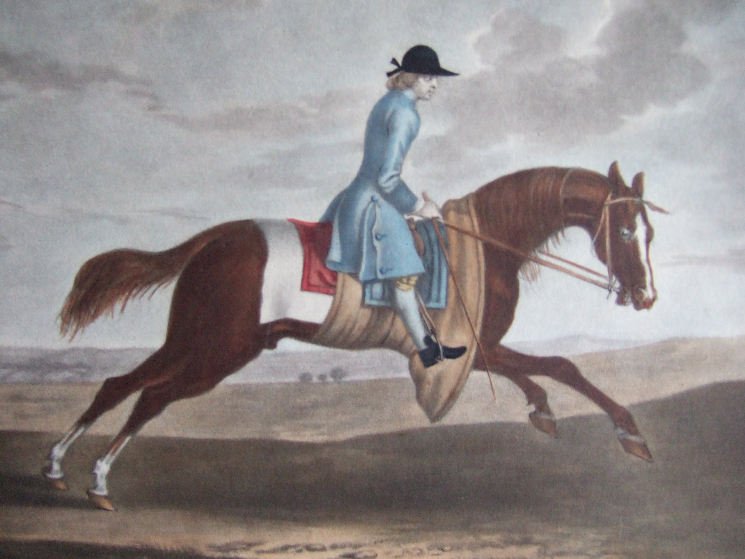 18th century etching "The Portraiture of the Famous Horse "Old Partner ...