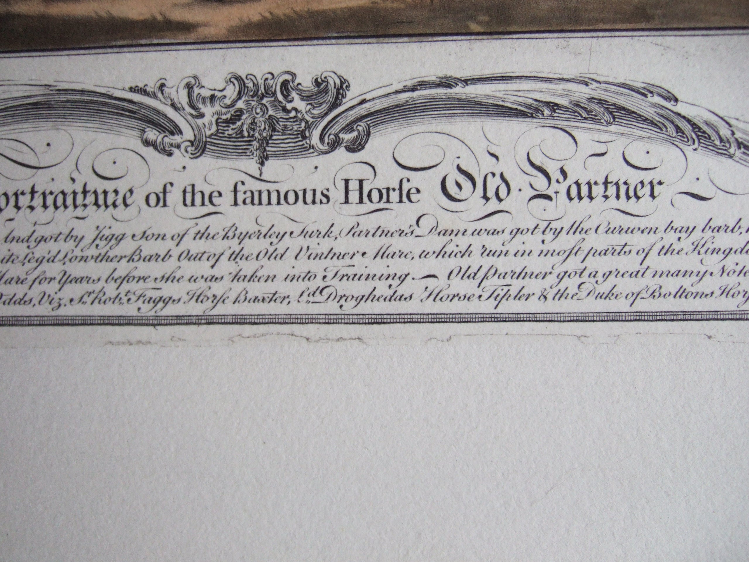 18th century etching "The Portraiture of the Famous Horse "Old Partner ...